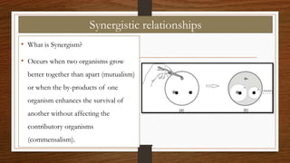 Bacterial relationships | PPT