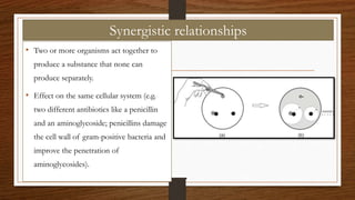 Bacterial relationships | PPTX