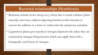Bacterial relationships | PPT