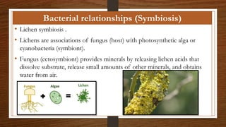 Bacterial relationships | PPT