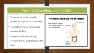 Bacterial relationships | PPT