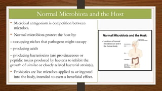 Bacterial relationships | PPT
