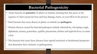 Bacterial relationships | PPTX