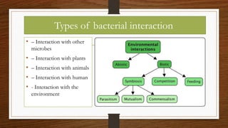 Bacterial relationships | PPT