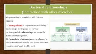 Bacterial relationships | PPT