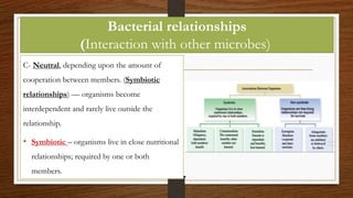 Bacterial relationships | PPTX