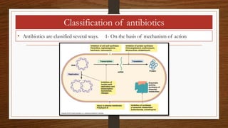 Bacteriology 7, Antibiotics | PDF