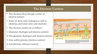 Bacteriology 8, oxidation and reduction | PDF