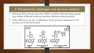 Bacteriology 8, oxidation and reduction | PDF