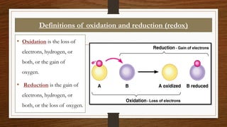 Bacteriology 8, oxidation and reduction | PDF