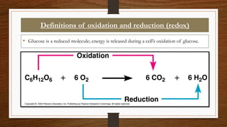Bacteriology 8, oxidation and reduction | PDF