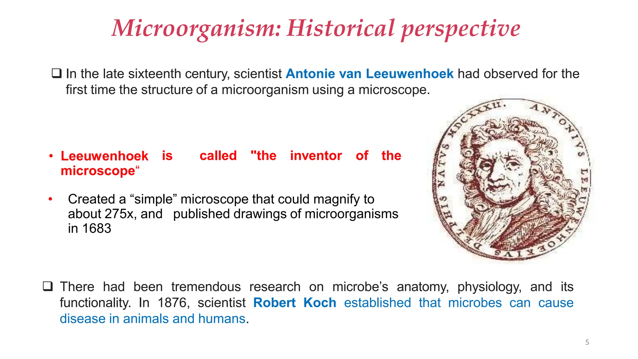 Bacteriology_Antibiotics.pptxBacteriology_Antibiotics | PPTX