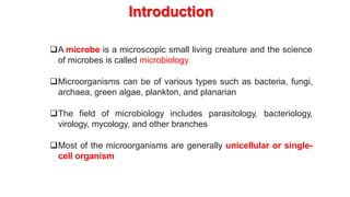 Bacteriology_Antibiotics.pptxBacteriology_Antibiotics | PPTX