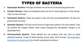 BACTERIOLOGY (BACTERIA SPECIES) FOR NURSES.pptx