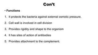 BACTERIOLOGY (BACTERIA SPECIES) FOR NURSES.pptx