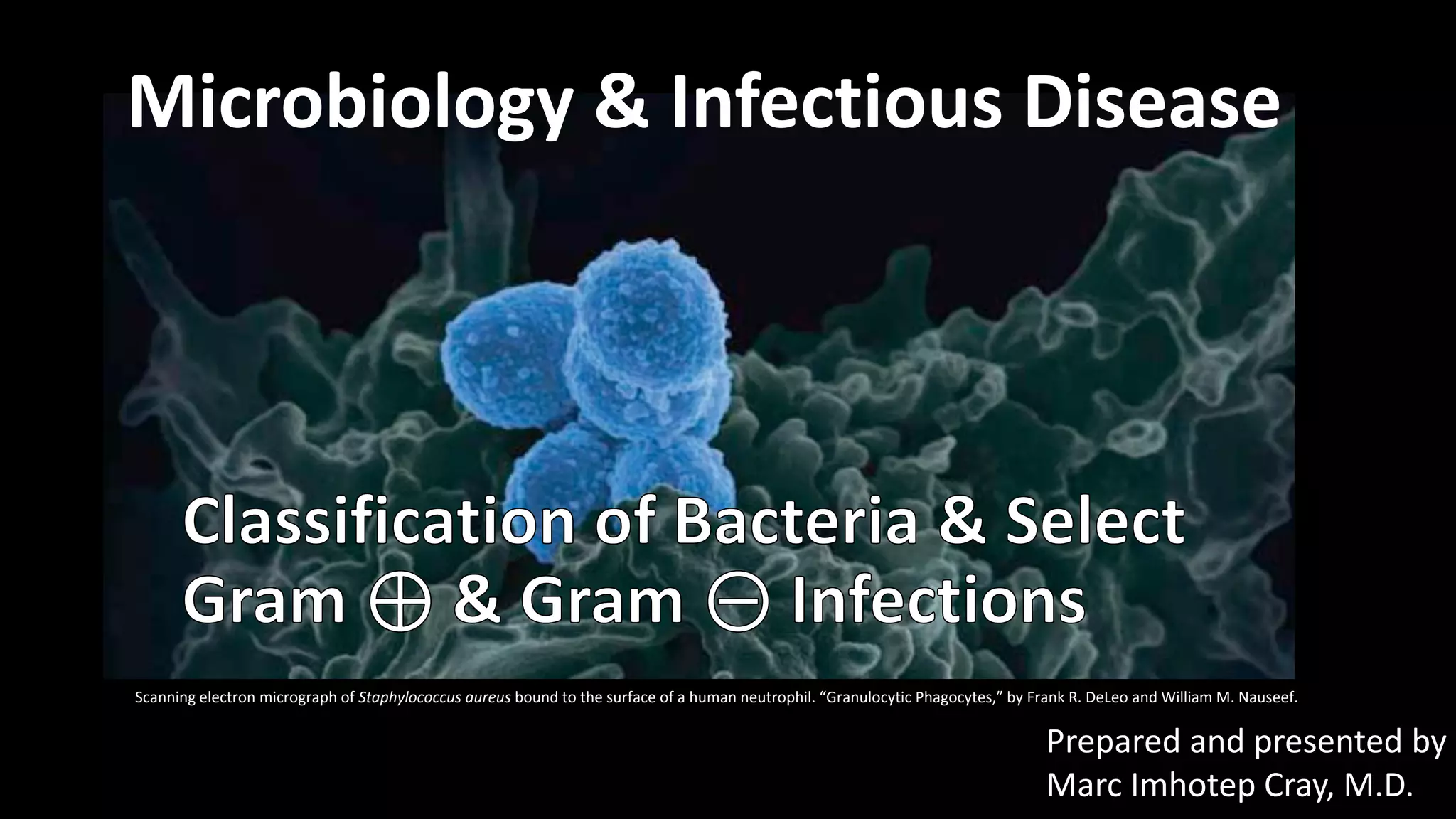 Bacteriology- Select gram ⊕ and gram ⊝ infections | PDF