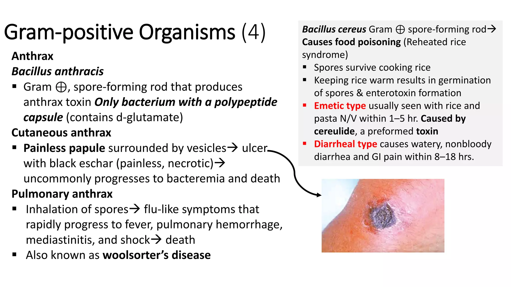 Bacteriology- Select gram ⊕ and gram ⊝ infections | PDF