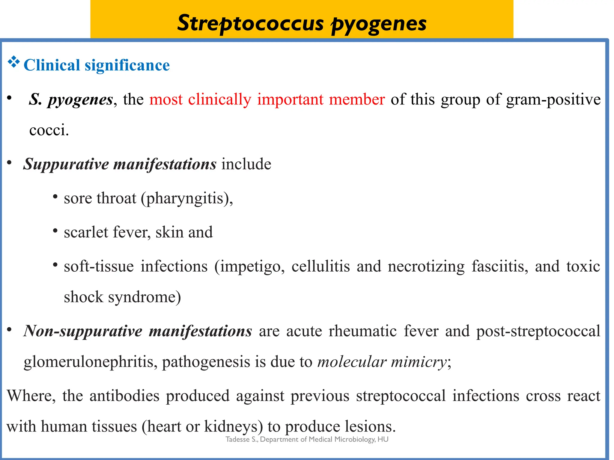 Bacteriology Gram positive cocci pptx.pptx