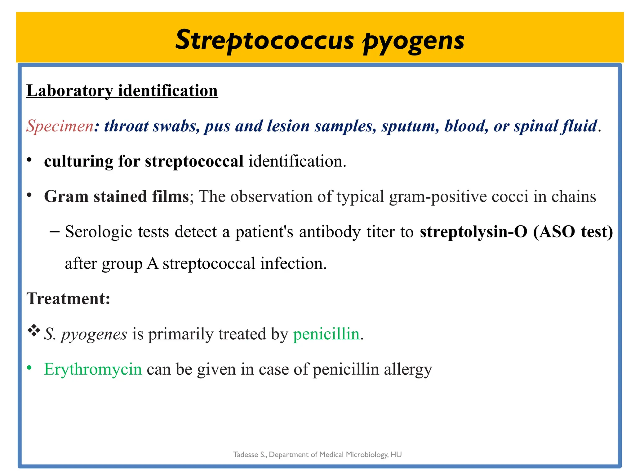 Bacteriology Gram positive cocci pptx.pptx