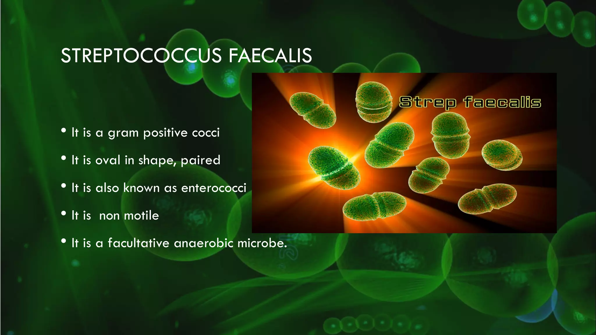 Bacteriology streptococcus pathogens | PDF | Ear, Nose and Throat Conditions | Diseases and ...