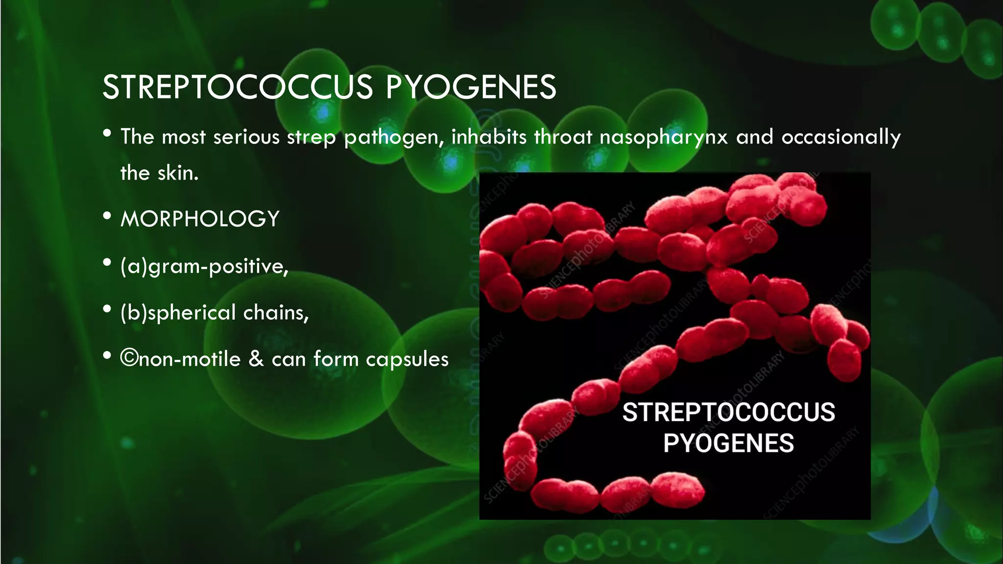 Bacteriology streptococcus pathogens | PDF | Ear, Nose and Throat ...