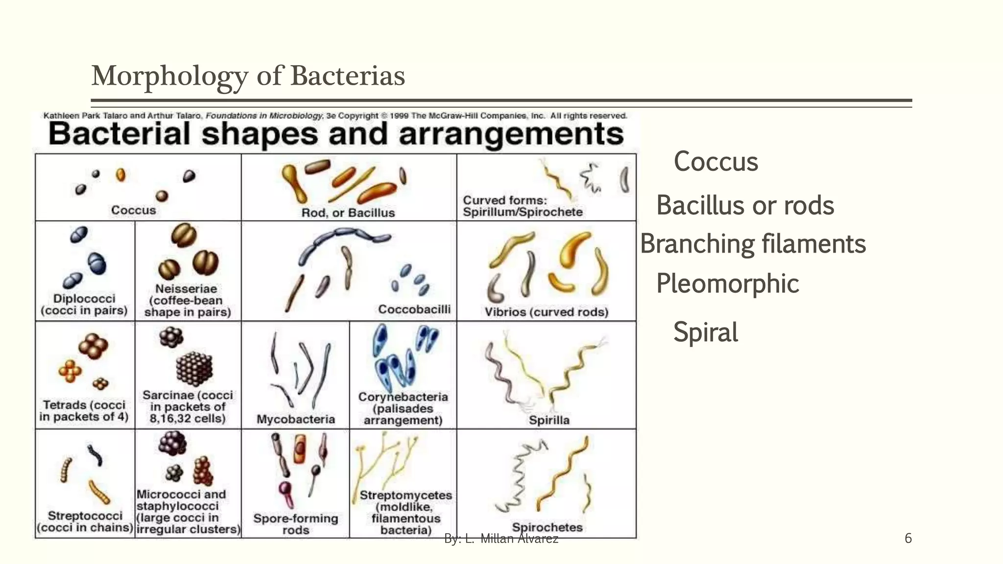 Bacteriology introduction online tutoring Microbiology | PPTX