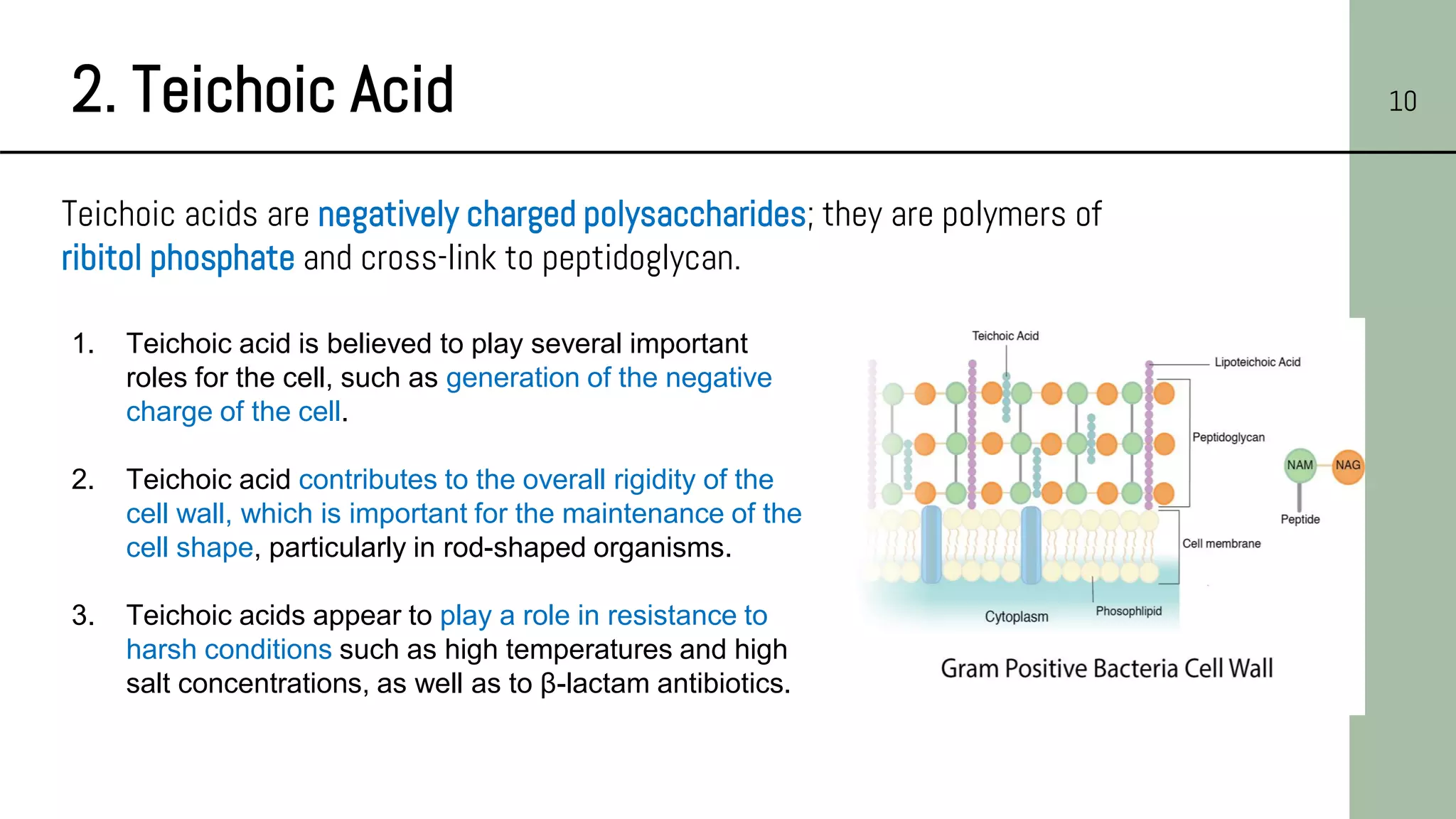 Bacteriology lecturer 2 .pdf