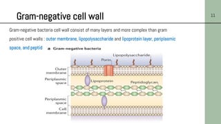Bacteriology lecturer 2 .pdf