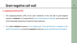 Bacteriology lecturer 2 .pdf