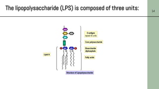 Bacteriology lecturer 2 .pdf