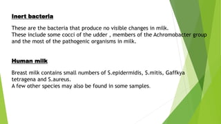 Bacteriology of air and milk | PPTX