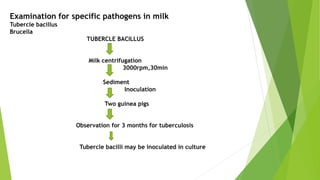 Bacteriology of air and milk | PPTX