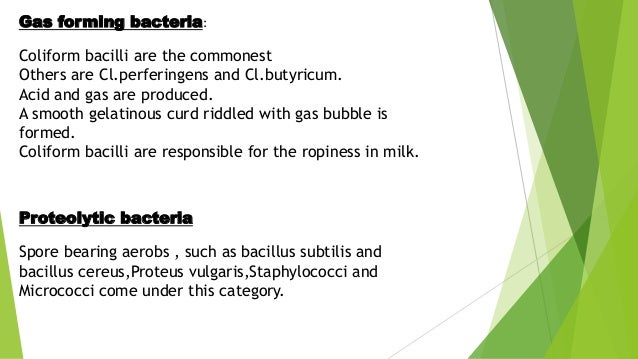 Bacteriology of air and milk