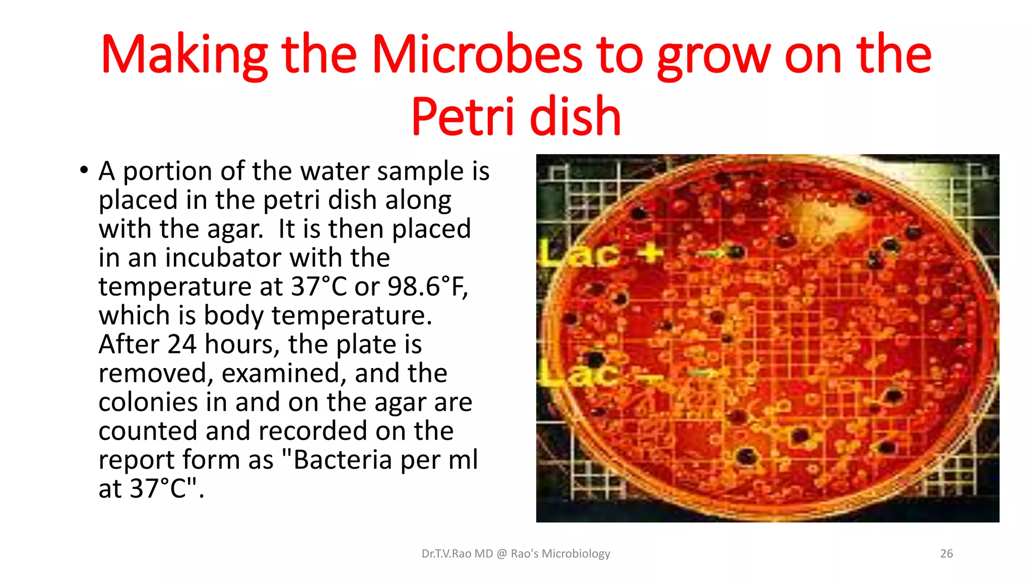 BACTERIOLOGY OF WATER AND ANALYSIS - BASICS | PPTX