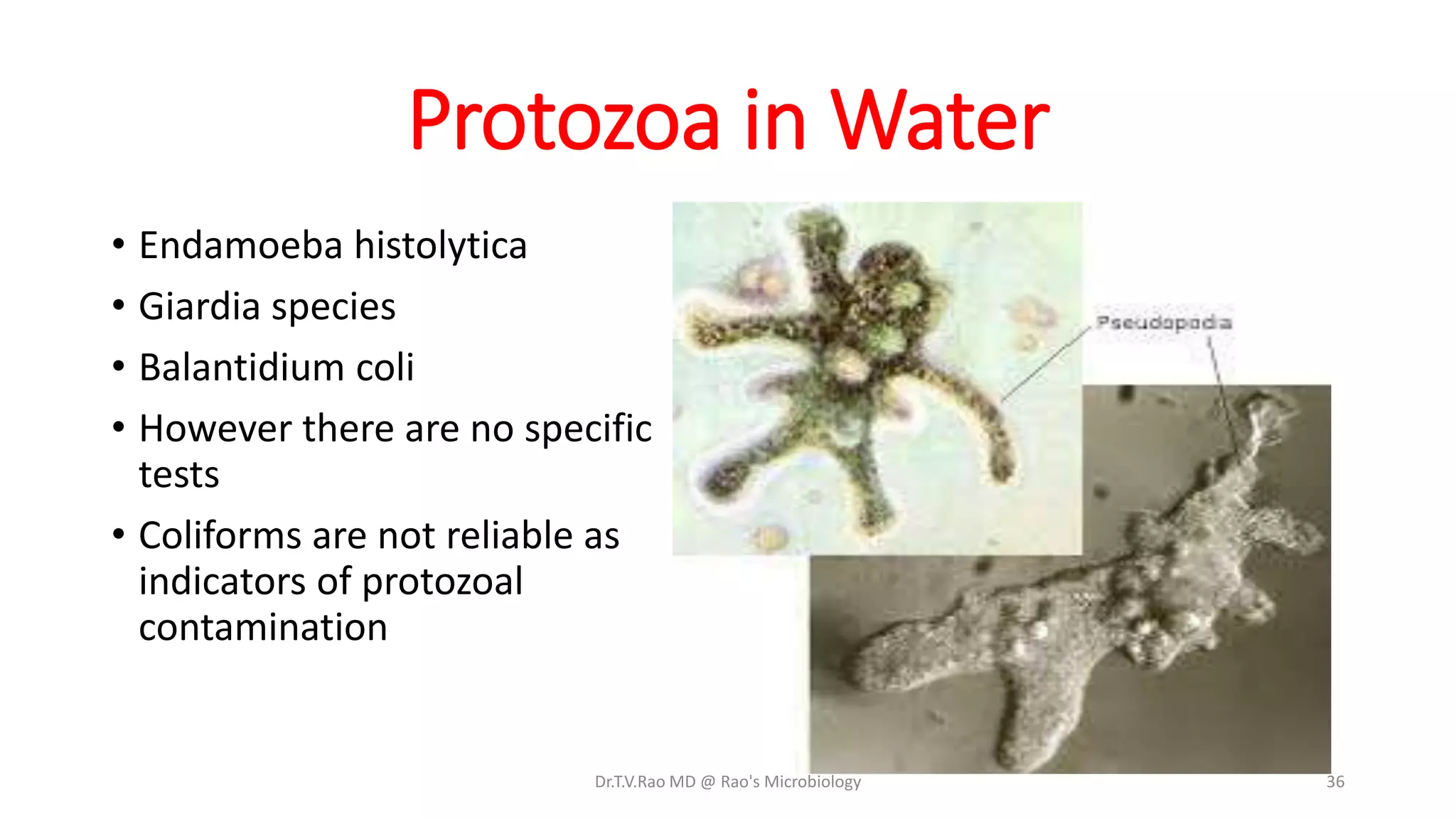 BACTERIOLOGY OF WATER AND ANALYSIS - BASICS | PPTX