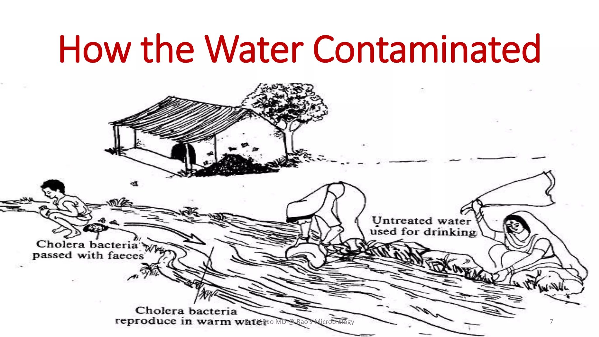 BACTERIOLOGY OF WATER AND ANALYSIS - BASICS | PPTX