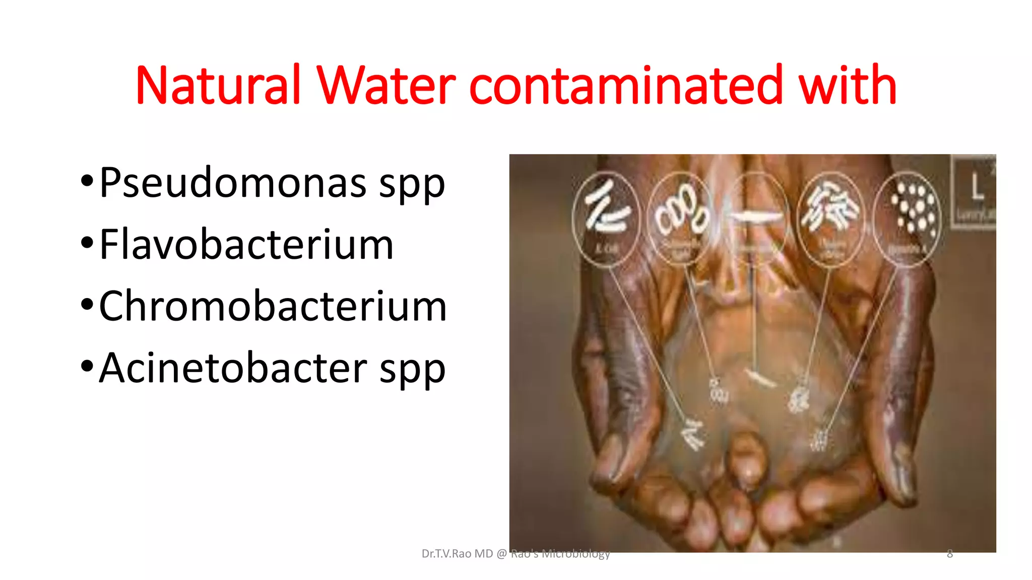 BACTERIOLOGY OF WATER AND ANALYSIS - BASICS | PPTX