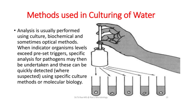 BACTERIOLOGY OF WATER AND ANALYSIS - BASICS | PPTX