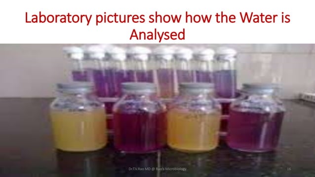 BACTERIOLOGY OF WATER AND ANALYSIS - BASICS | PPTX