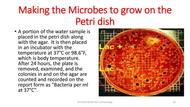 BACTERIOLOGY OF WATER AND ANALYSIS - BASICS | PPTX