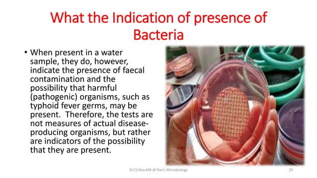 BACTERIOLOGY OF WATER AND ANALYSIS - BASICS | PPTX