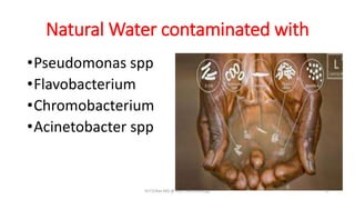 BACTERIOLOGY OF WATER AND ANALYSIS - BASICS | PPTX