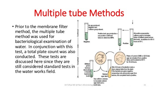 BACTERIOLOGY OF WATER AND ANALYSIS - BASICS