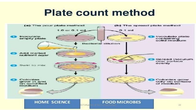 BACTERIOLOGY OF WATER vAND ANALYSIS - vBASICS