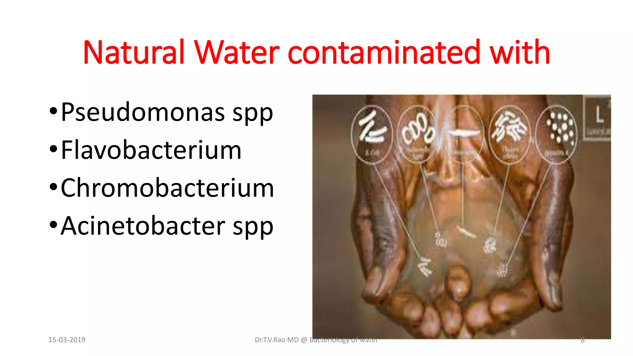 BACTERIOLOGY OF WATER basics by Dr.T.V.Rao MD | PPTX