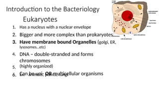 Bacteriology part1 Nursing science level 1- Copie.pptx