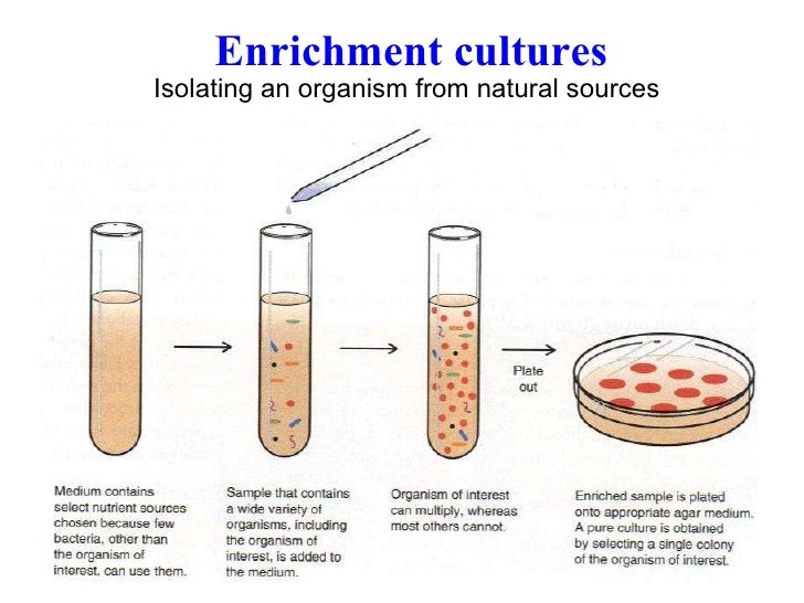 Bacteriology physiology 1-mbbs-y2-5-oct2011---2