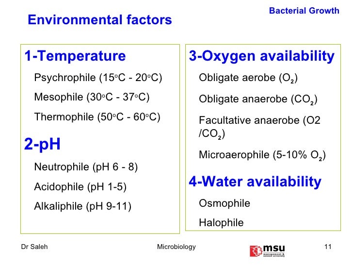 Bacteriology Definition Classifications And In Medicine