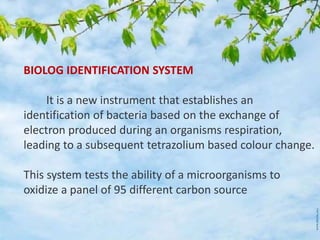 Bacteriology ppt | PPT