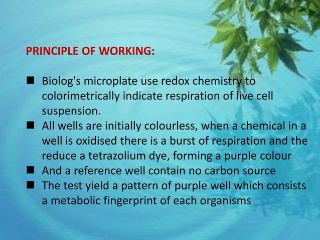 Bacteriology ppt | PPT